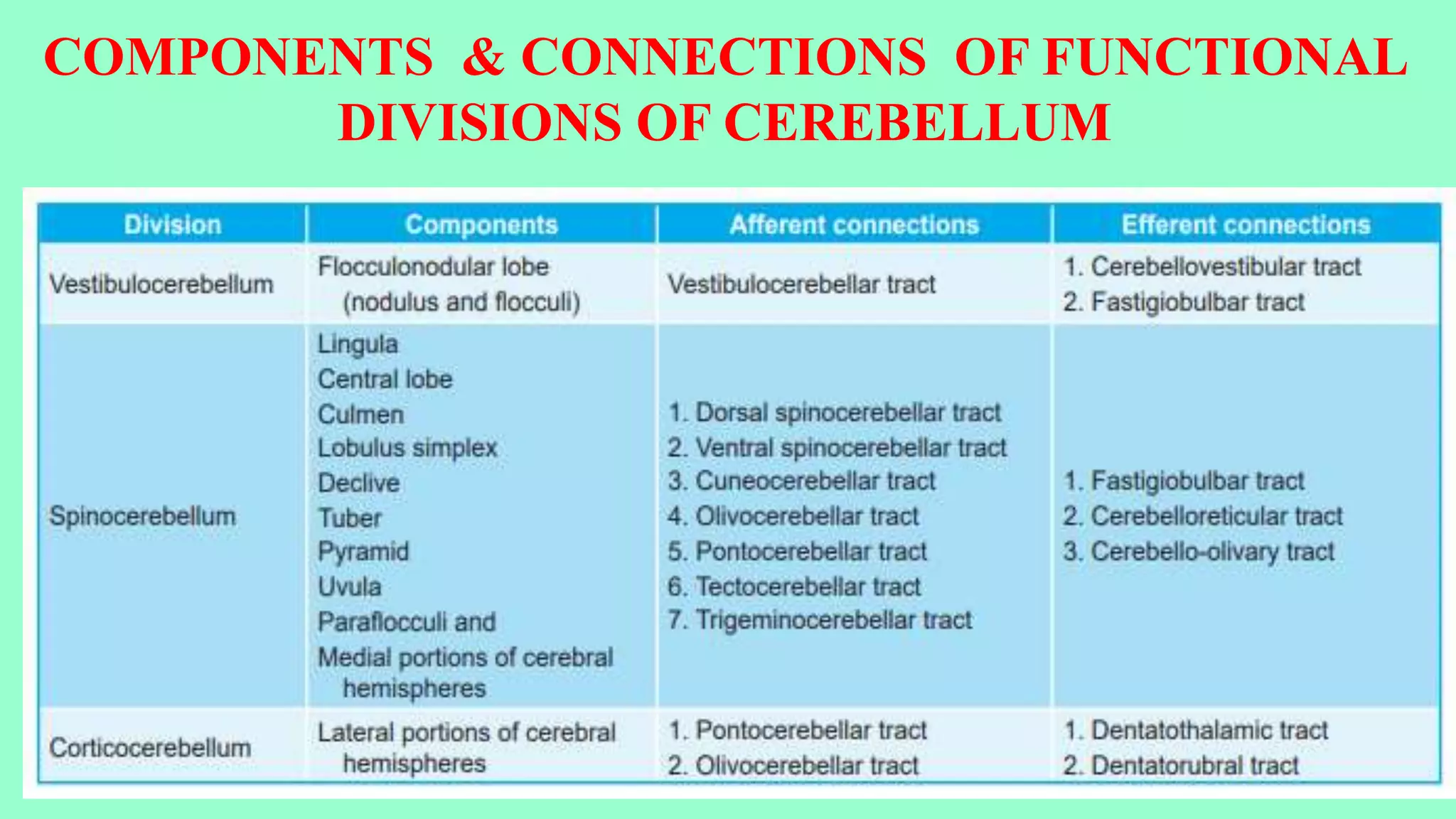 CEREBELLUM -1.pptx