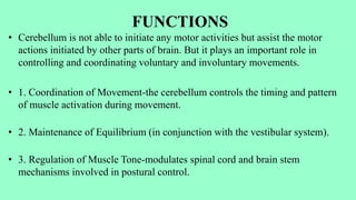 CEREBELLUM -1.pptx | Brain and Nervous System Disorders | Diseases and ...