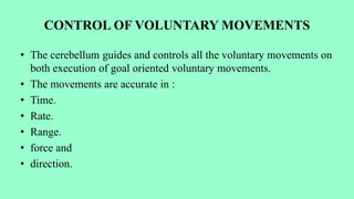 CEREBELLUM -1.pptx | Brain and Nervous System Disorders | Diseases and ...