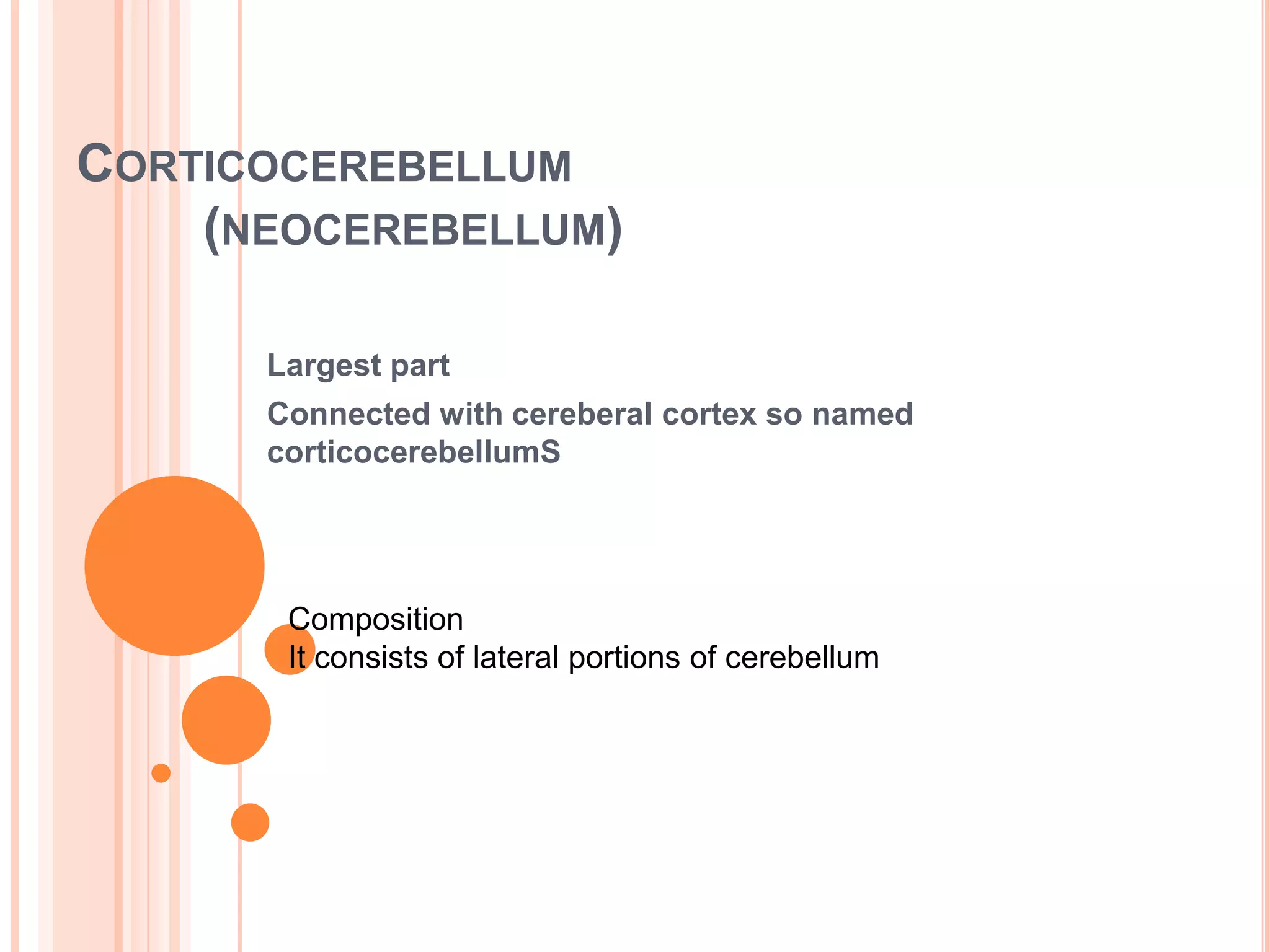 Cerebellum | PPTX