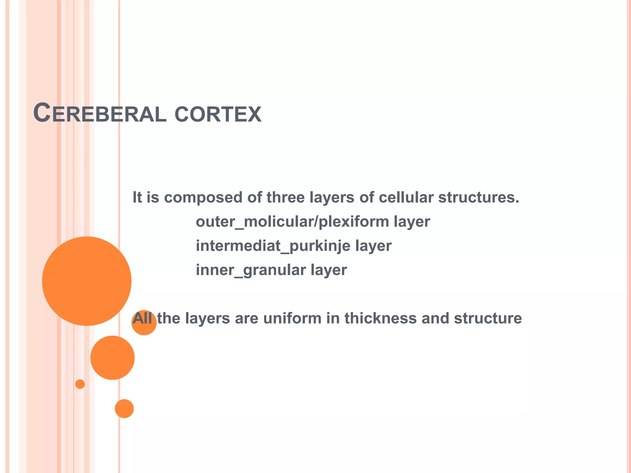 Cerebellum | PPTX