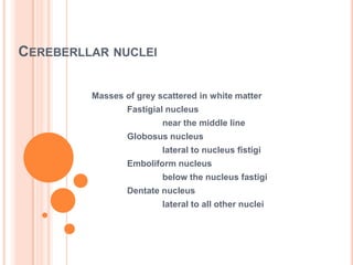 Cerebellum | PPTX