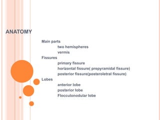 Cerebellum | PPTX