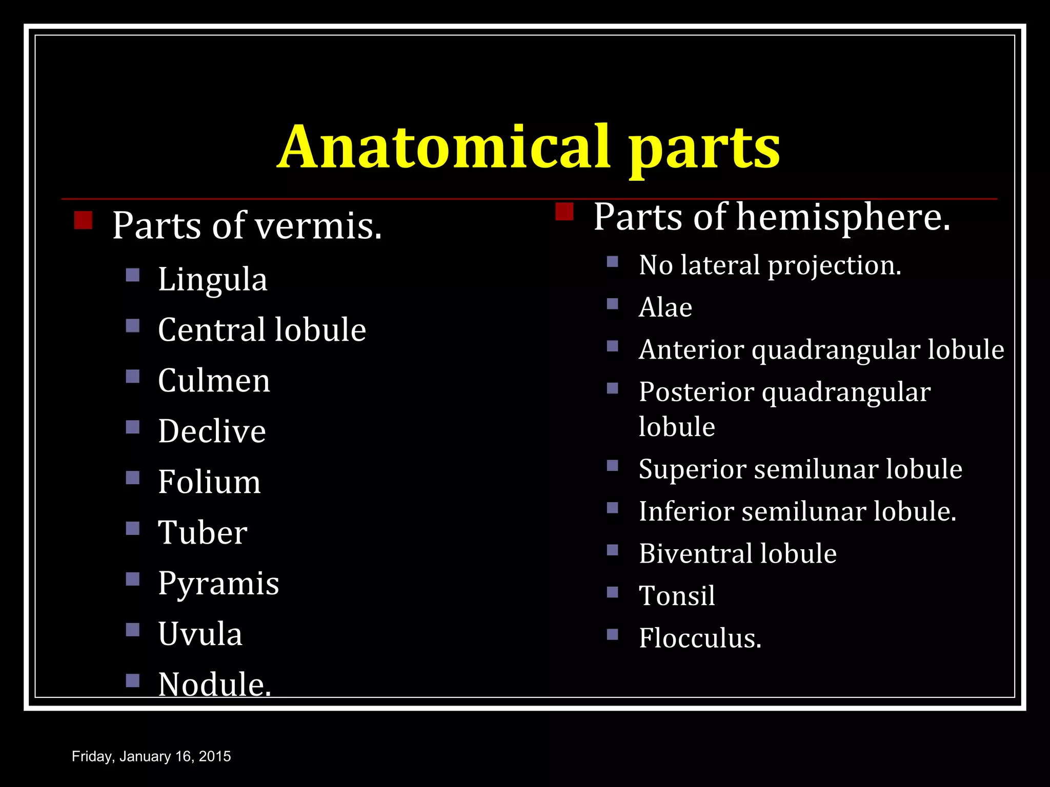Cerebellum ppt | PPT