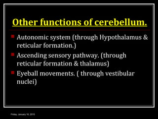 Cerebellum Function Tests