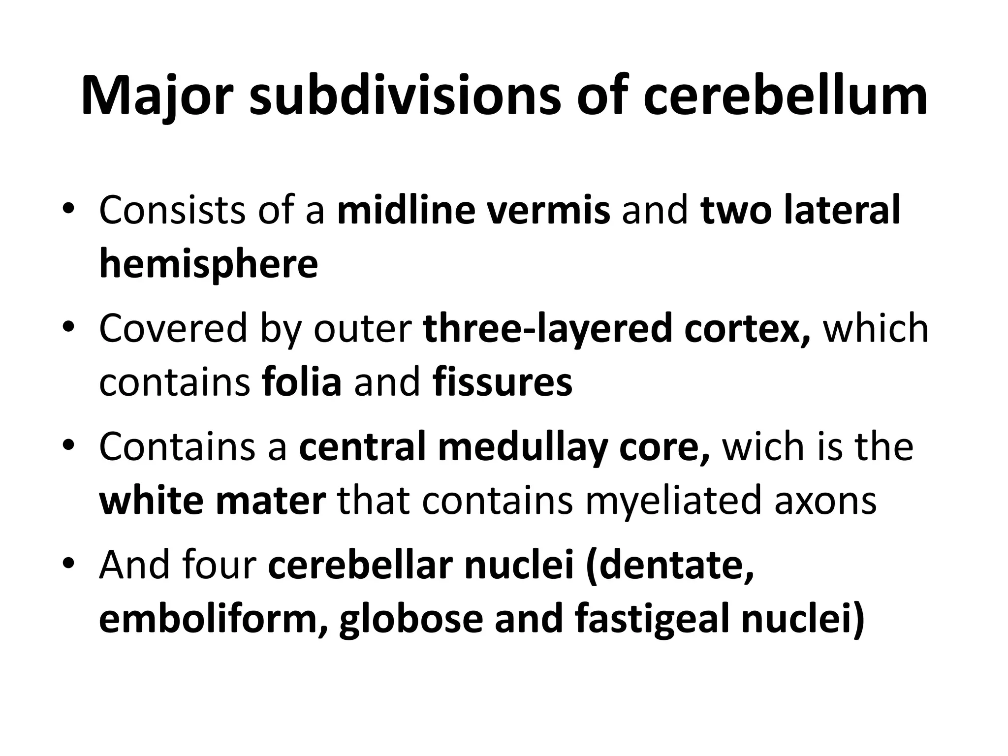 Cerebellum | PPTX