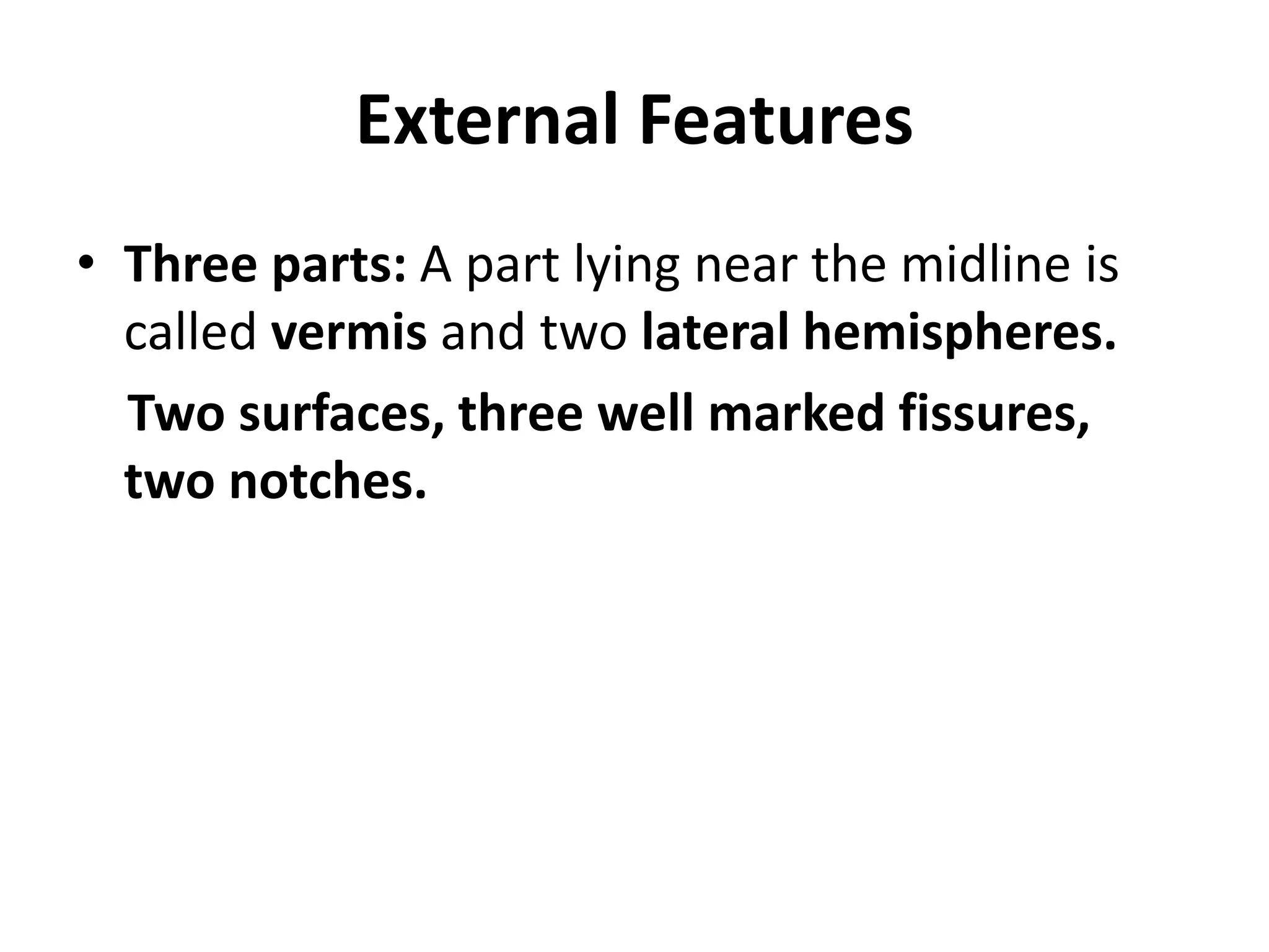 Cerebellum | PPTX