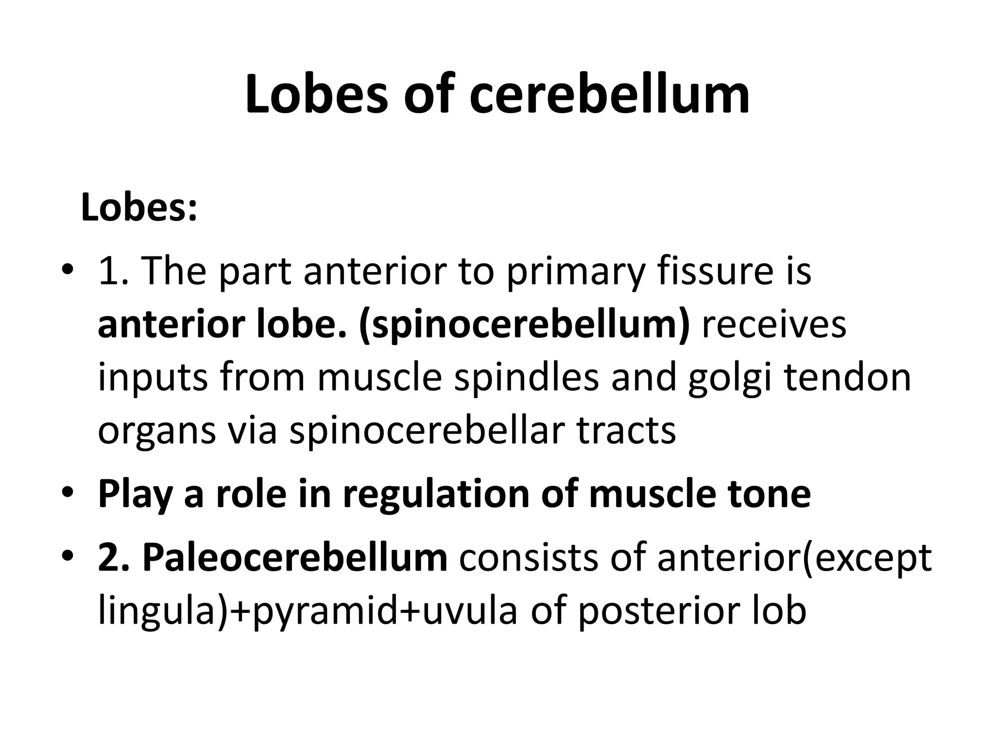 Cerebellum | PPTX