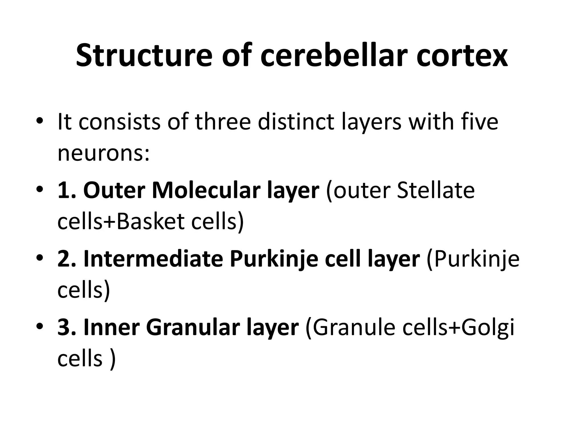 Cerebellum | PPTX