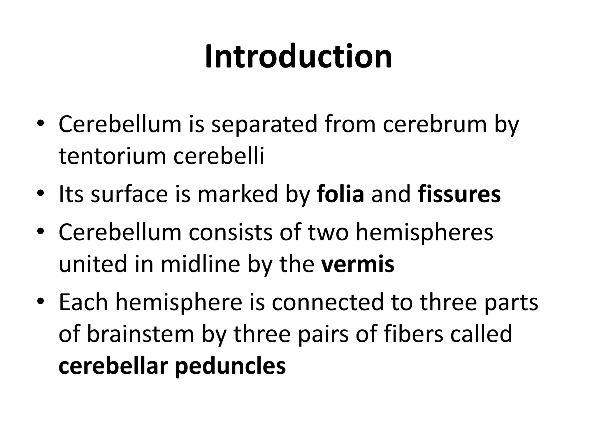Cerebellum | PPTX