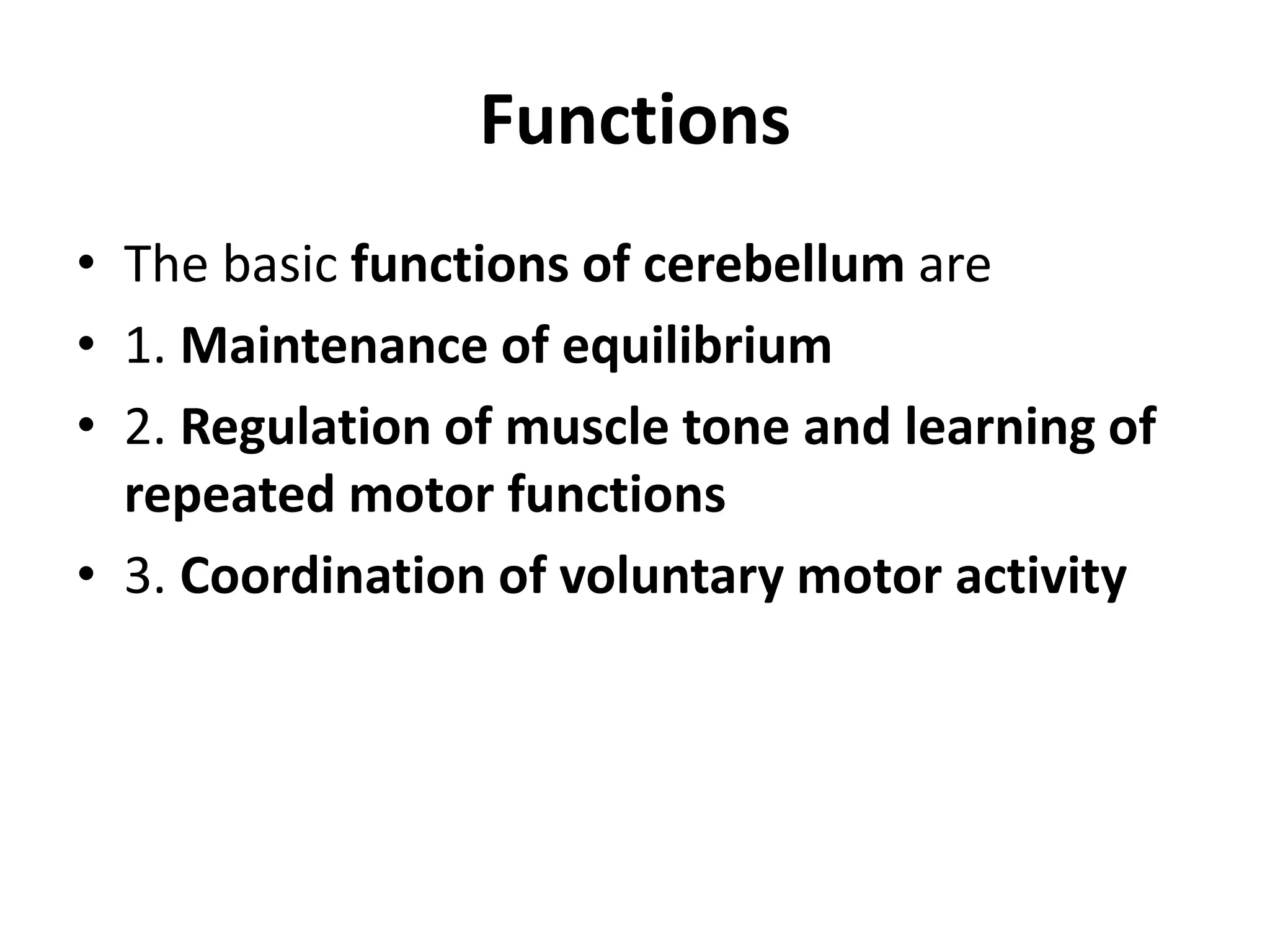 Cerebellum | PPTX