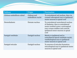 Cerebellum.ppt