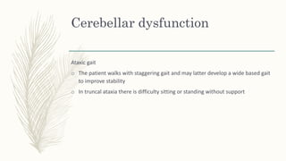 Cerebellum | PPT