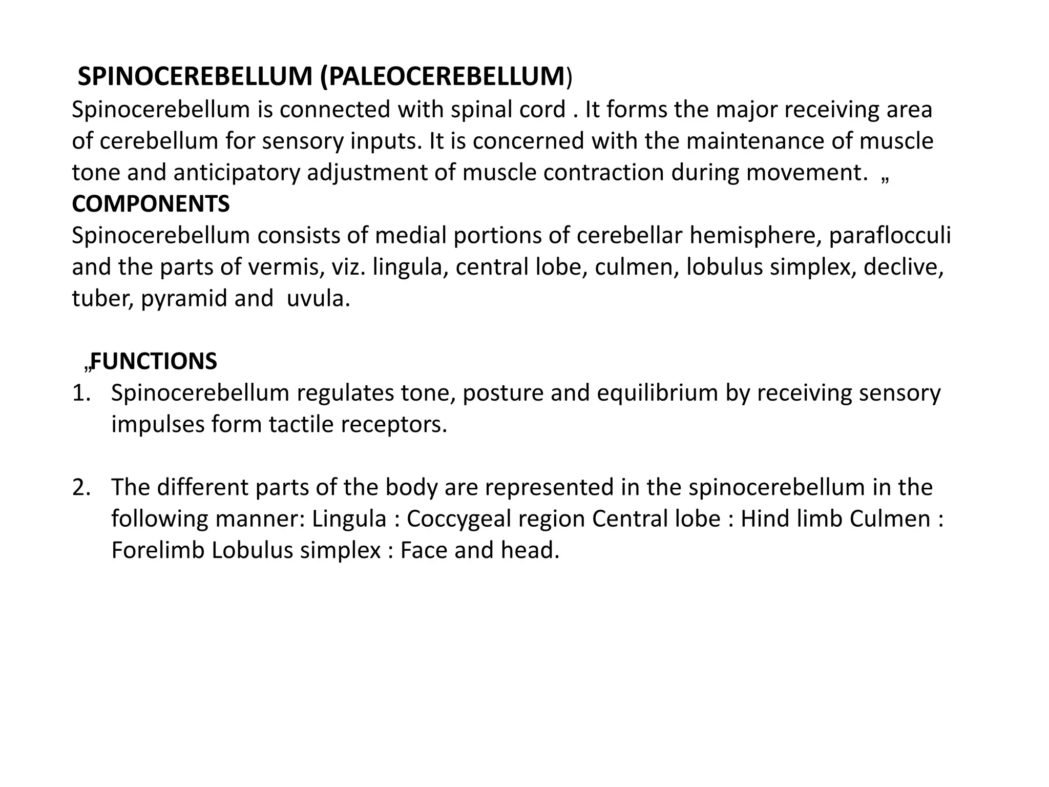 Physiology of Cerebellum | PPTX