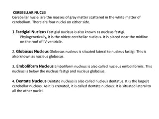Physiology of Cerebellum | PPTX