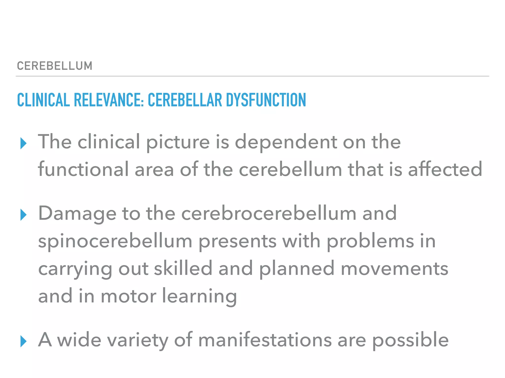 Cerebellum | PDF