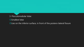 Cerebellum | PPT