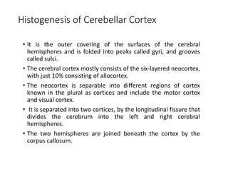 Cerebellum .pptx