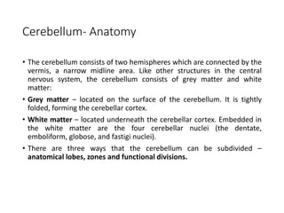 Cerebellum .pptx