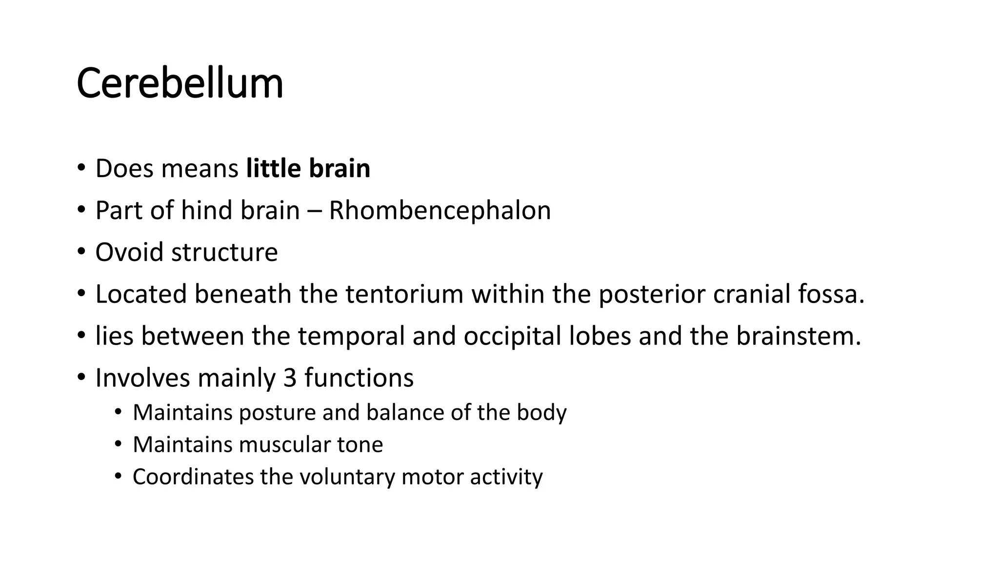 Cerebellum.pptx