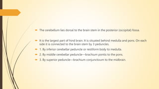 CEREBELLUM.pptx