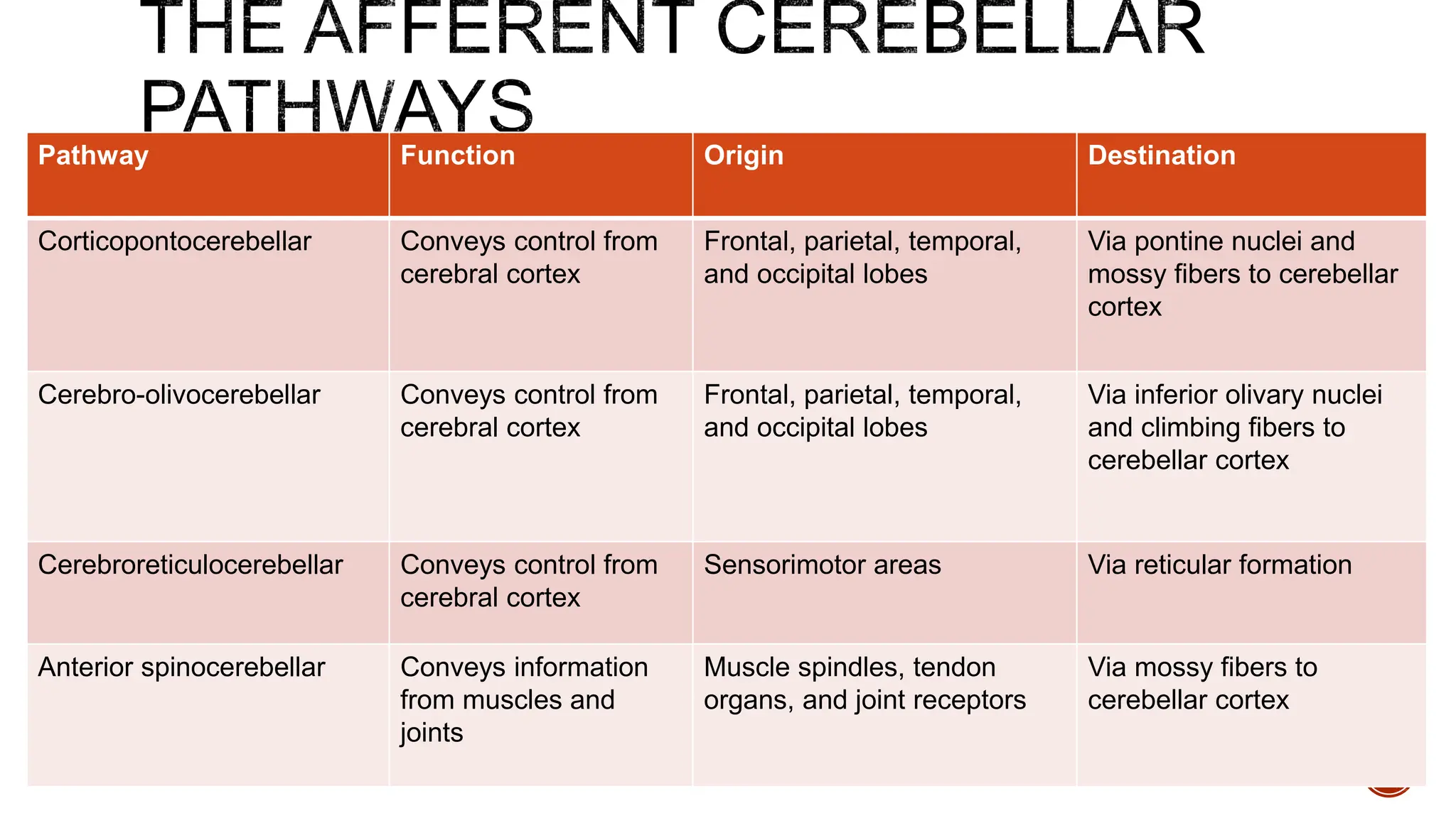 Cerebellum.pptx