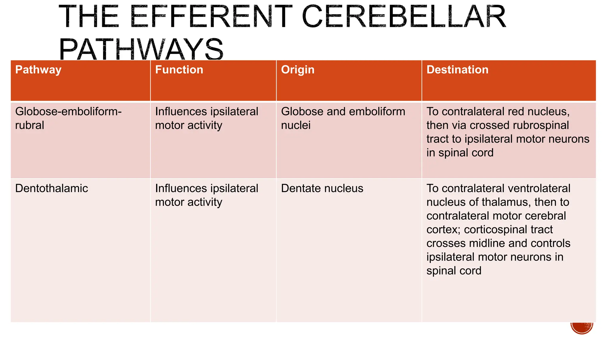 Cerebellum.pptx