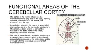 Cerebellum.pptx