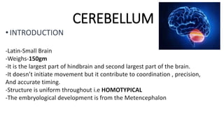 ANATOMY OF CEREBELLUM With Clinical Anatomy.pptx