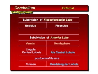 Cerebellum.ppt vvvvvvvvvvvvvvvvvvvvvvvjh | PPT