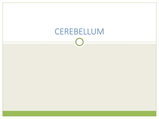 Anatomy Anatomy Anatomy CEREBELLUM.pptx
