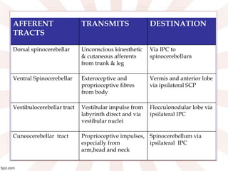 Cerebellum anat and disorders | PPTX