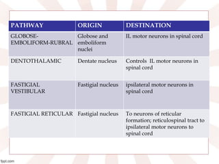 Cerebellum anat and disorders | PPTX