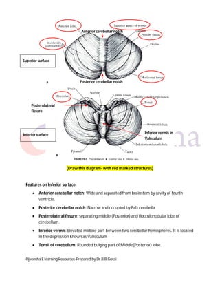 Cerebellum dr.gosai | PDF