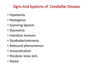 Cerebellum-WPS Office.pptx