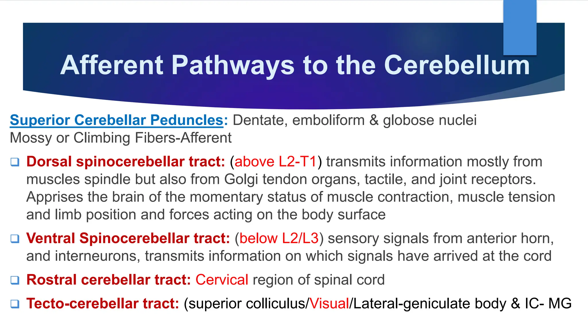 Cerebellum, and Basal Ganglia by Dr. Rabia Inam Gandapore.pptx