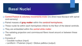 Cerebellum, and Basal Ganglia by Dr. Rabia Inam Gandapore.pptx