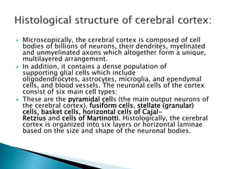 Cerebellum and Cerebral Cortex 10b.pptx