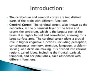 Cerebellum and Cerebral Cortex 10b.pptx