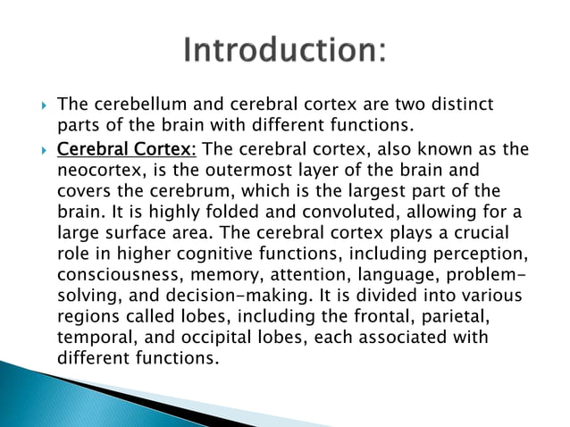 Cerebellum and Cerebral Cortex 10b.pptx