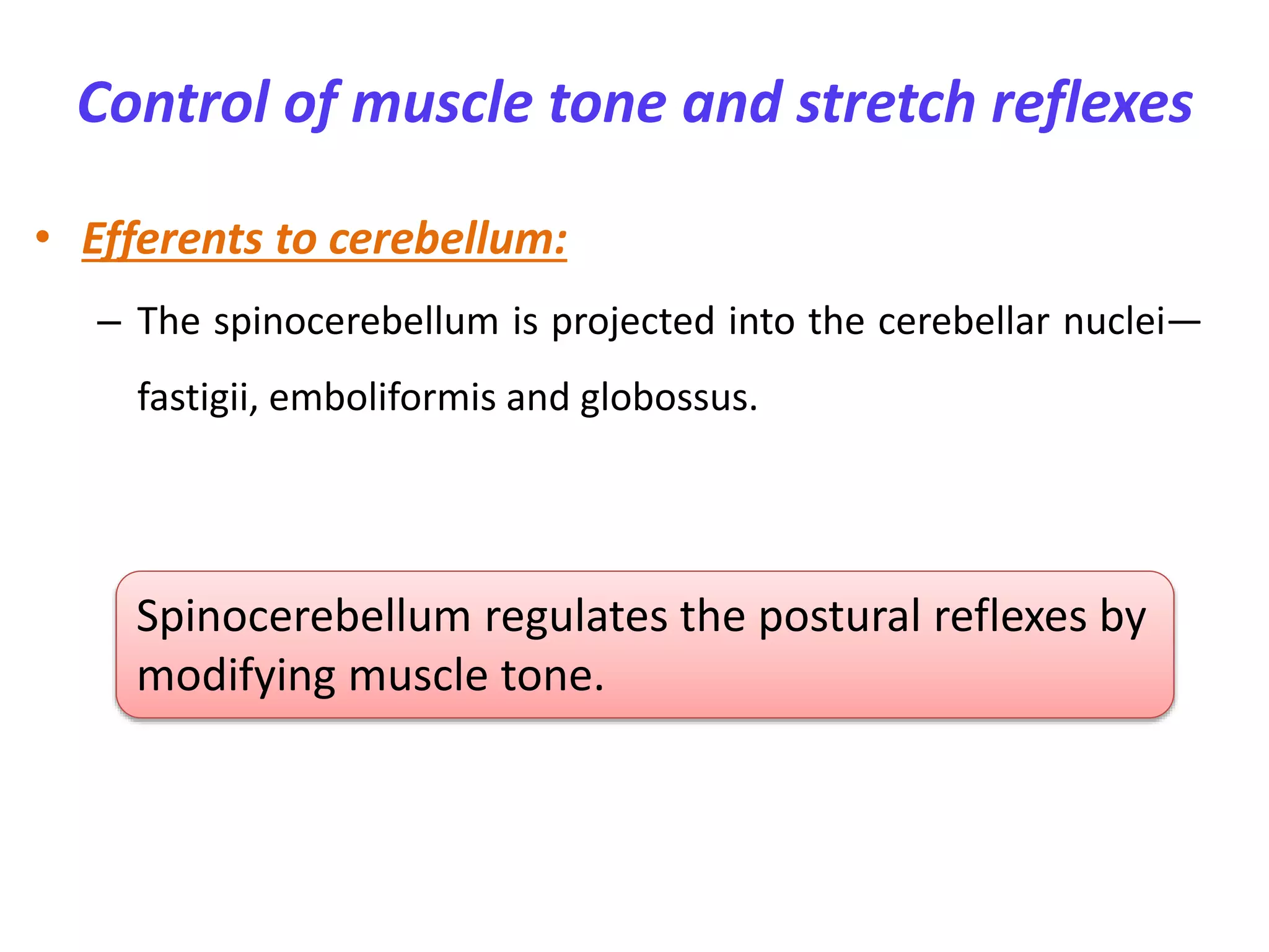 Cerebellum and control of postures and movements.pptx