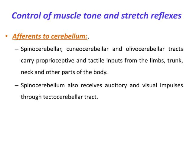 Cerebellum and control of postures and movements.pptx | Physical ...