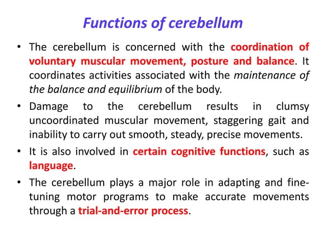 Cerebellum and control of postures and movements.pptx | Physical ...