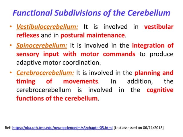 Cerebellum and control of postures and movements.pptx | Physical ...