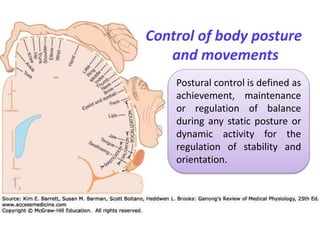 Cerebellum and control of postures and movements.pptx