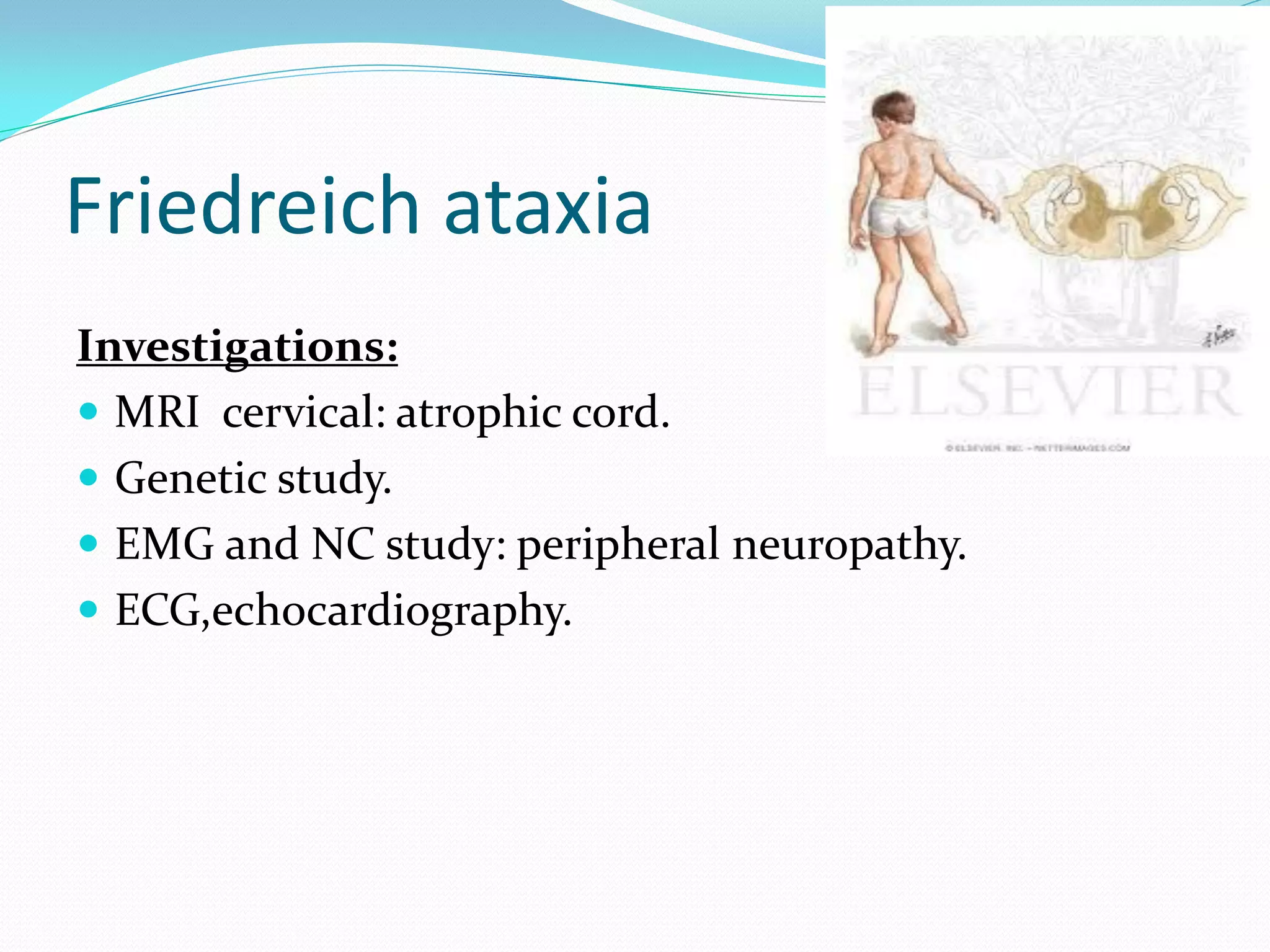 Cerebellum & ataxia | PDF