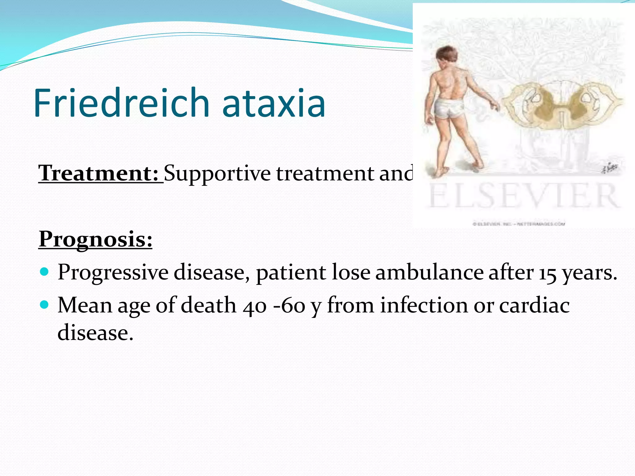 Cerebellum & ataxia | PDF