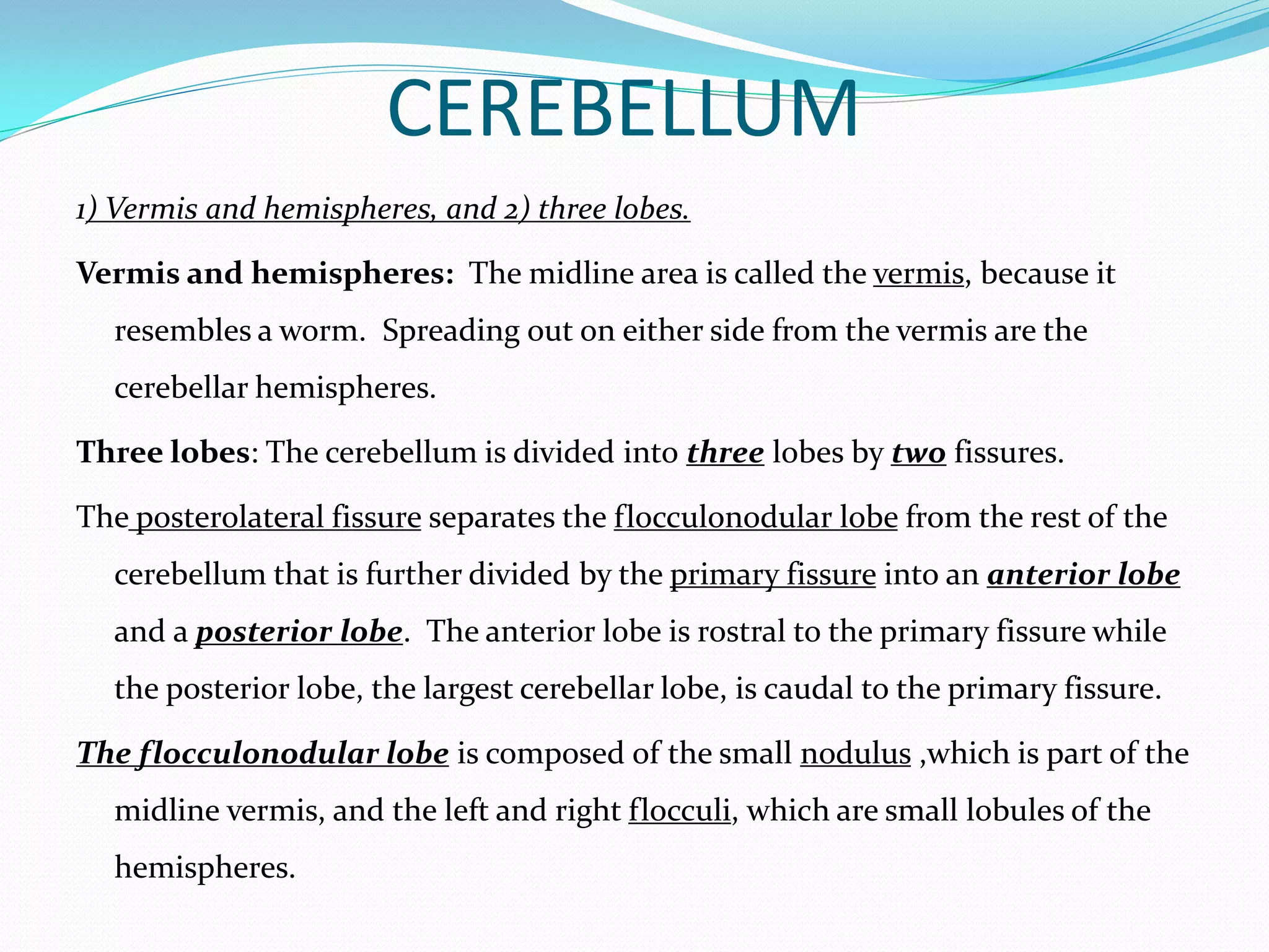 Cerebellum & ataxia | PDF