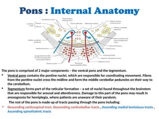 Cerebellum & Brainstem by Dr.Timothy Cheptarei.pptx