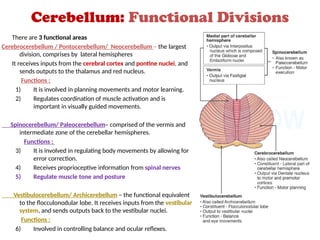 Cerebellum & Brainstem by Dr.Timothy Cheptarei.pptx